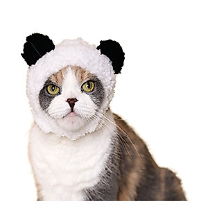Kitan Club Cat Cap - Pet Hat Blind Box Includes 1 of 6 Cute Styles - Soft, Comfortable - Authentic Japanese Kawaii Design - Animal-Safe Materials, Premium Quality (Bear)