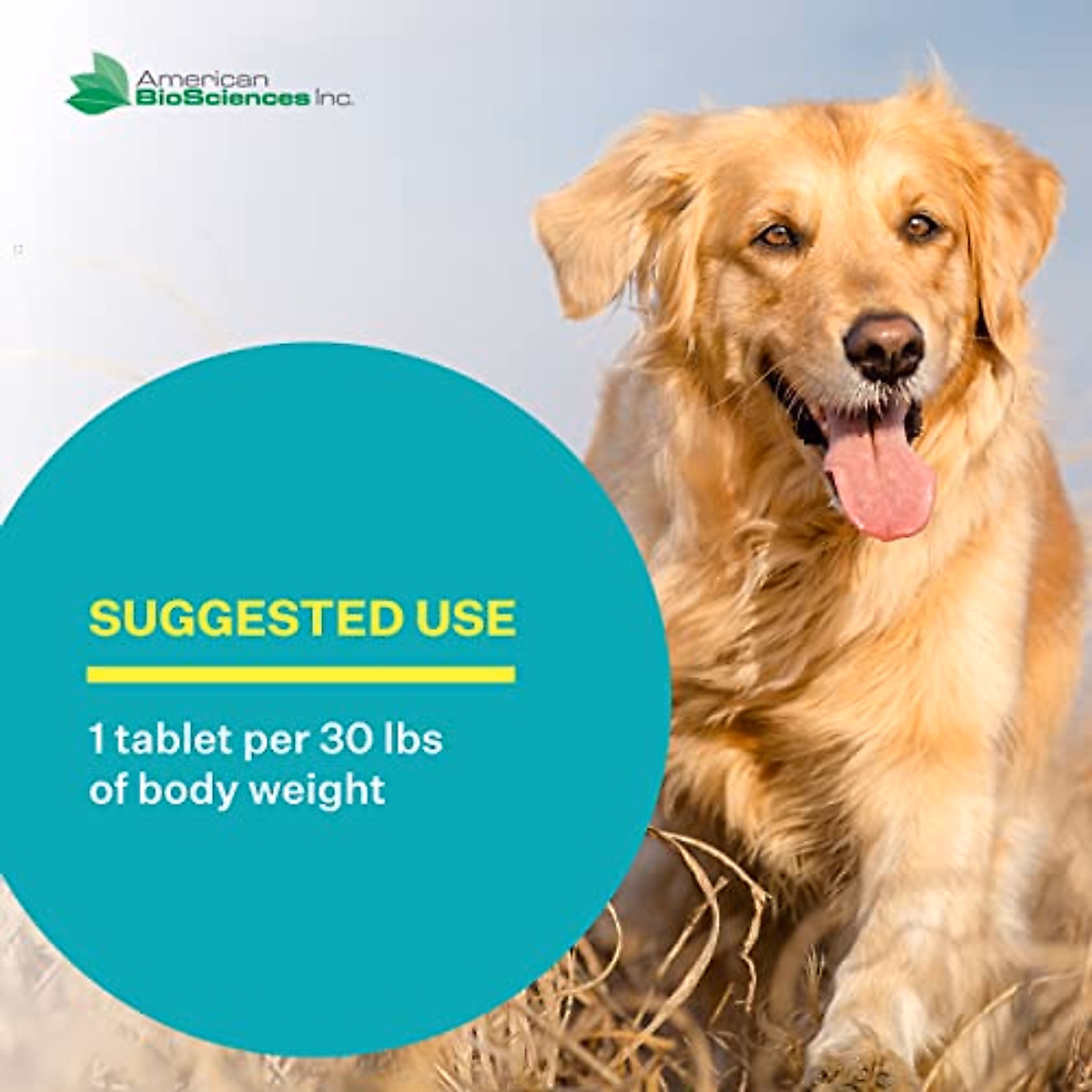 American BioSciences DGP, Joint Supplement for Dogs - Joint Support with Turmeric, Boswellia Extract & More - Quick Effect for Immediate Mobility Support - 60 All-Natural Chewable Pet Tablets (2 Pack)