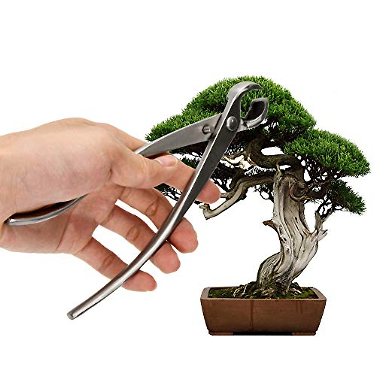 VOLDAX 210mm Stainless Steel Knob Cutter Bonsai Cutter Concave Cutter Gardening Tool Pruning Shears