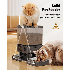 oneisall Automatic Cat Feeder for 2 Cats, 20 Cups/5L Automatic Cat Food Dispenser for Small Pets Indoor, Timed Cat Feeder for Dry Food