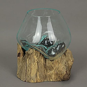 Chesapeake Bay Medium Glass Bowl On Driftwood, Brown, 7.5 Inch