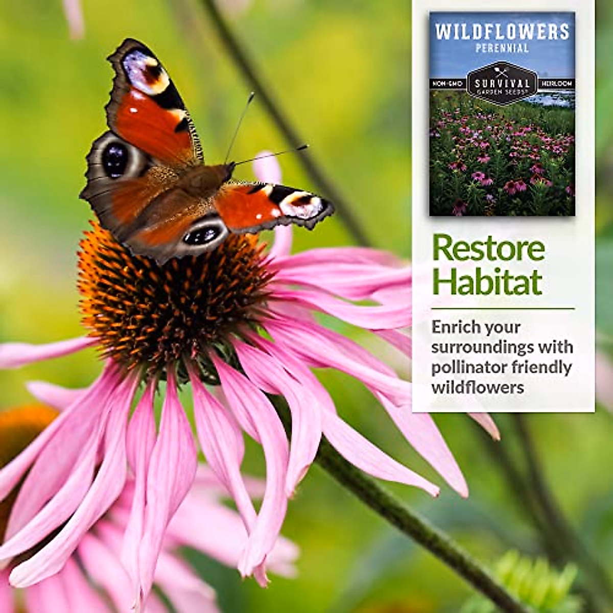 Survival Garden Seeds - Perennial Wildflower Seed for Planting - Packet with Instructions to Plant and Grow in Your Home Garden - Non-GMO Heirloom Varieties