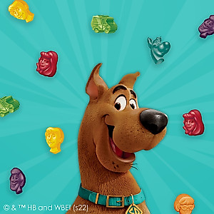 Betty Crocker Scooby Doo Fruit Flavored Snacks, Treat Pouches, Value Pack, 22 ct