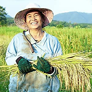 CraftCurl Bamboo Rice Steamer serving Basket kratip Container Handmade Kitchen Decor Design with stand- Handwoven use for steam Sticky Rice in Thai Thailand Laos (Medium 6 inches)