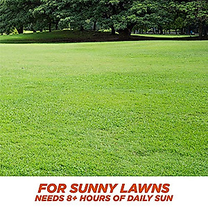 Pennington One Step Complete Bermudagrass Bare Spot Grass Seed, 5 Pounds, White