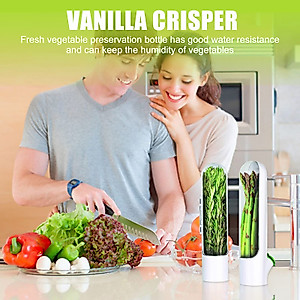 Cilantro Containers for Refrigerator, 2pcs Fresh Herb Keeper, Herb Saver Best Keeper for Freshest Produce, Clear Herb Storage Container Glass for 2-3 Weeks for Cilantro, Mint, Parsley, Asparagus