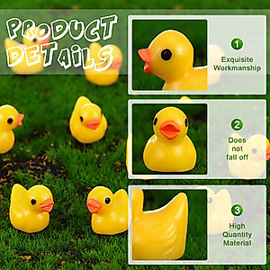 Chalyna 150 Pcs Mini Ducks Yellow Tiny Resin Ducks Bulk Mini Rubber Duckies Figures for Home Prank Game Micro Landscape Aquarium Dollhouse Ornament DIY Terrarium and Handmade School Project