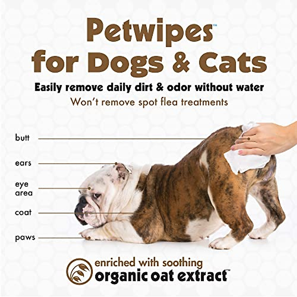 Petkin Pet Wipes for Dogs and Cats, 200 Wipes (Large) – Oatmeal Pet Wipes for Dogs and Cats – Soothes Itchy Dry Skin and Cleans Ears, Face, Butt, Body and Eye Area – 2 Packs of 100 Wipes