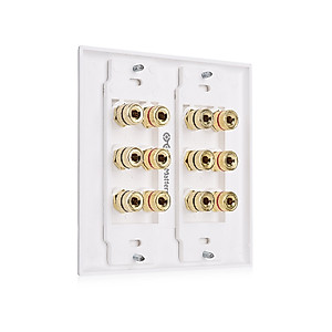 Cable Matters Double Gang Speaker Wire Wall Plate (Speaker Wall Plate, Banana Plug Wall Plate) for 6 Speakers in White