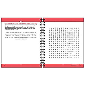 Brain Games - Gray's Anatomy Word Search Puzzles