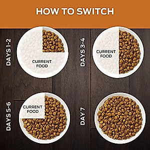 Purina Pro Plan Veterinary Diets NF Kidney Function Advanced Care Feline Formula Adult Dry Cat Food - 8 lb. Bag