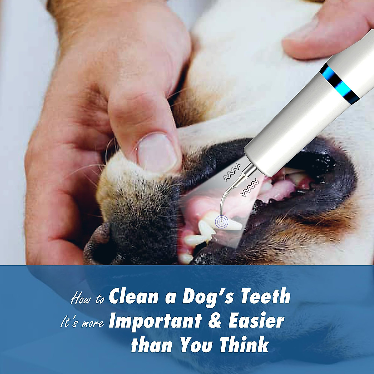Dog Teeth Cleaning Kit, Plaque Remover for Teeth, Plaque and Tartar Remover, Rechargeable Ultrasonic Dental Scaler Tools with LED for Dog and Cat (White)