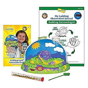 Insect Lore Live Ladybug Growing Kit Toy, Observation Skills