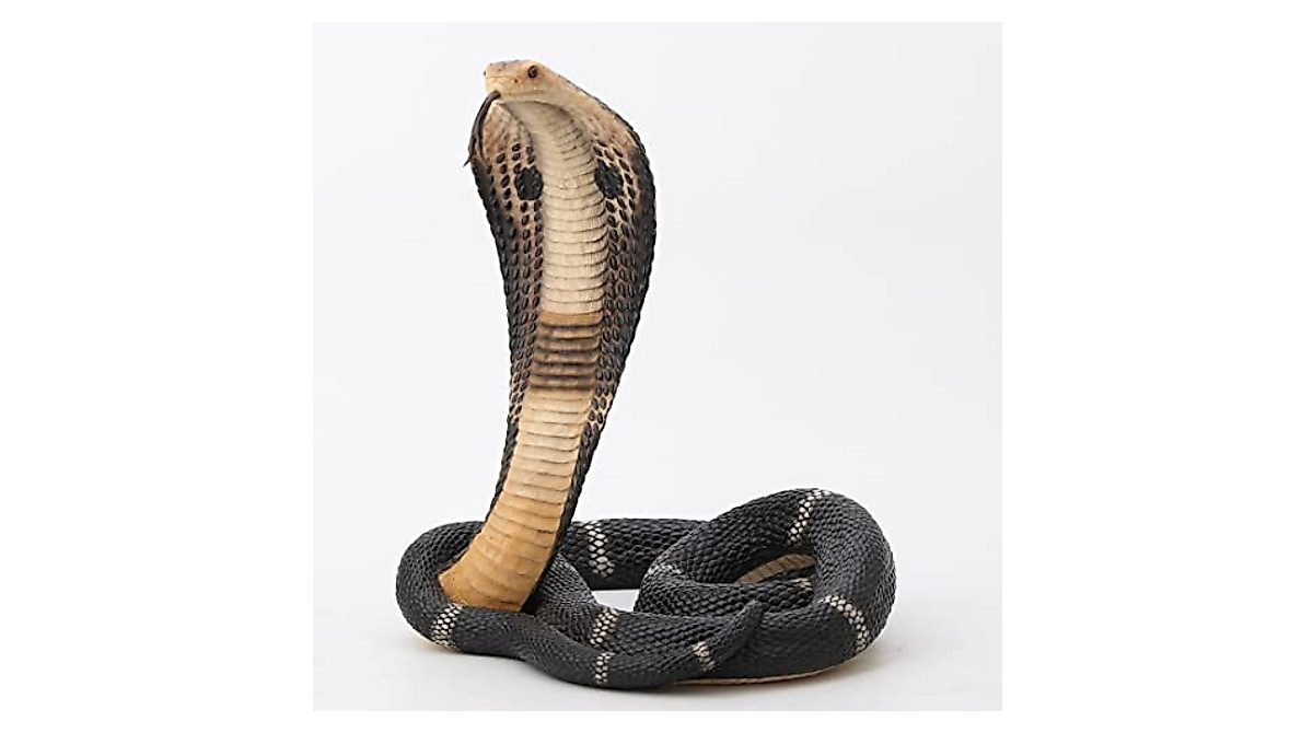 Veronese Design King Cobra Sculpture - Lifelike Rearing Statue