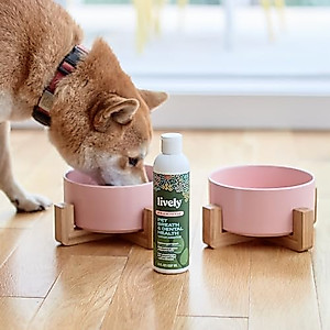 Lively Pet Breath & Dental Health Water Additive