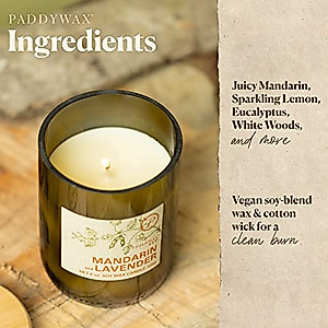 Paddywax Eco Green Collection Scented Candle, 8-Ounce, Mandarin & Lavender