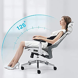 RILOOP Office Chair Chair Ergonomic, Computer Chair Adjustable Seat Height with Back Support and Arms, Desk Chair Comfy, Study Chair for Home, Office and Executive