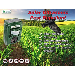 GARDEN SECRETS Compact Solar Ultrasonic Animal Repellent. Skunk Raccoon Deer Coyote Cat Rat Mice etc Deterrent. Keep Pests Away from Your Property Within 2-4 Weeks. Whole Year Full Warranty (1)