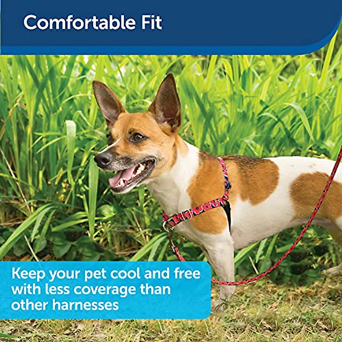 PetSafe EWH-C-HC-S-POP Easy Walk Chic Harness, Small, Poppies