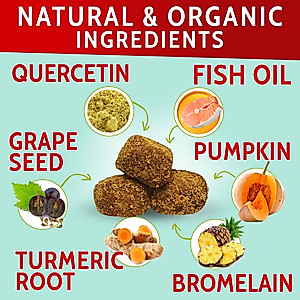 Pawfect Dog Allergy Relief Chews - Anti-Itch Skin Coat Supplement - Itchy Skin Relief Treatment Pills w/ Omega 3 Fish Oil - Itching & Paw Licking - Dry Skin & Hot Spots - 120 Immune Treats - Bacon