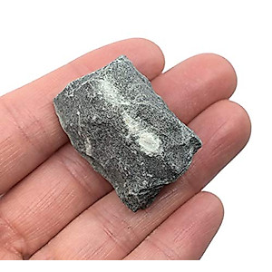 12PK Raw Chlorite, Metamorphic Mineral Specimens - Approx. 1" - Geologist Selected & Hand Processed - Great for Science Classrooms - Class Pack - Eisco Labs