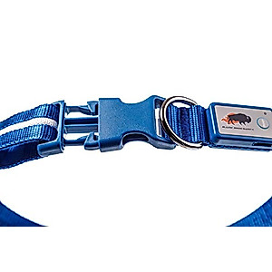 Blazin LED Light Up Dog Collar - 1,000 Feet of Visibility - Brightest for Night Safety - USB Rechargeable Waterproof Dog Collar Light