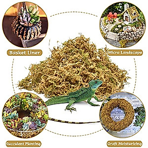 ZeeDix 2QT Dried Moss for Potted Plants Terrarium Decor Plant Natural Sphagnum Moss Potting Mix Soil for Carnivorous Plant, Orchid, Sarracenia, Succulent, Reptiles