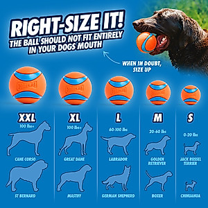 Chuckit! Ultra Ball Dog Toy - Size XL - For Dogs 100+ lbs - Made from Durable Rubber - Super Bouncy - Floats in Water - 3.5-inch Diameter - Pack of 1