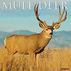 Mule Deer 2023 Wall Calendar