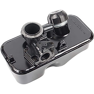 Fuel Gas Tank and Carburetor Assembly Fits for Briggs and Stratton 499809 498809A 494406