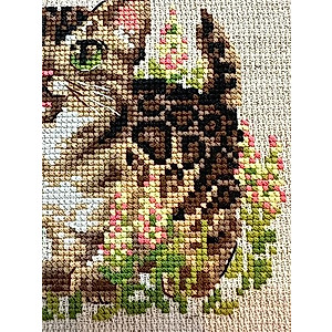 RIOLIS Counted Cross Stitch kit 2119 Bengal Kitten
