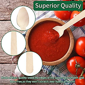 4 inch Mini Wooden Spoons, Biodegradable Compostable Birchwood, Food Grade Disposable Spoons Disposable Wooden Cutlery for Parties, Weddings, Camping 200pcs.