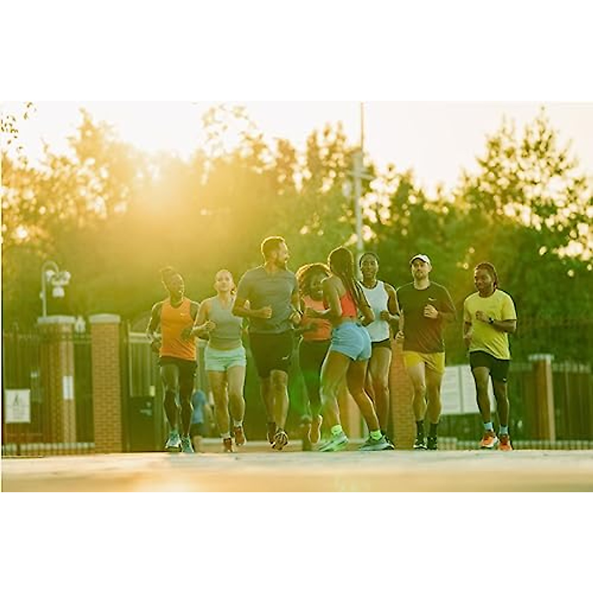 Saucony Women's 8/16 Performance Heel Tab Athletic Socks, Grey Fashion (8 Pairs), Medium