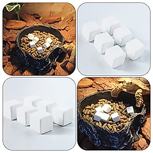 Mipcase Reptile Calcium 10pcs Professional Reptile Tank Substrate Calcium Cubes Safe Turtle Grinding Blocks (White) Aquarium
