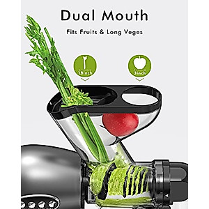 SiFENE Slow Masticating Juicer Machine, 3” Wide Dual Chute Cold Press Juicer with Anti-Clog Function, Ideal for Celery, Wheatgrass, Fruit and Vegetable Juice Extractor, BPA-Free, Easy to Clean