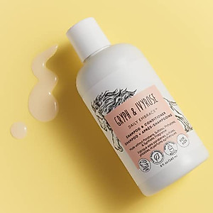 Gryph and IvyRose Daily Embrace 2-in-1 Sulfate Free and Paraben Free Shampoo and Conditioner - Soft Hair Hydration Shampoo/Conditioner - Goji Berry & Ginger (1-Pack)