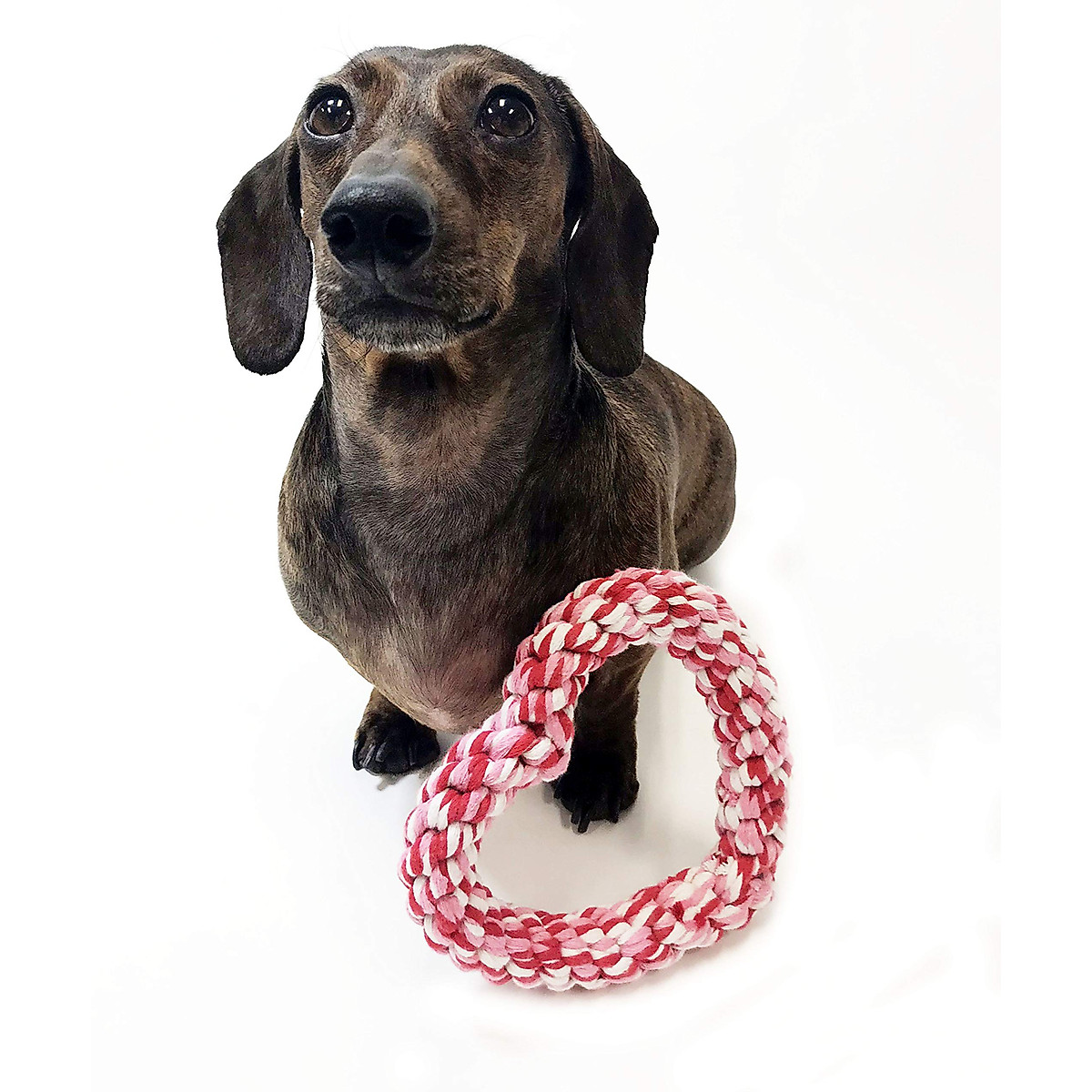 Midlee Valentine's Heart Rope Dog Toy (6" x 6")- Pink, Red, White Cotton Chew Gift