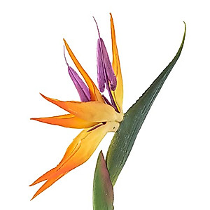 Ashland Michaels Bulk 12 Pack: Yellow Bird of Paradise Stem