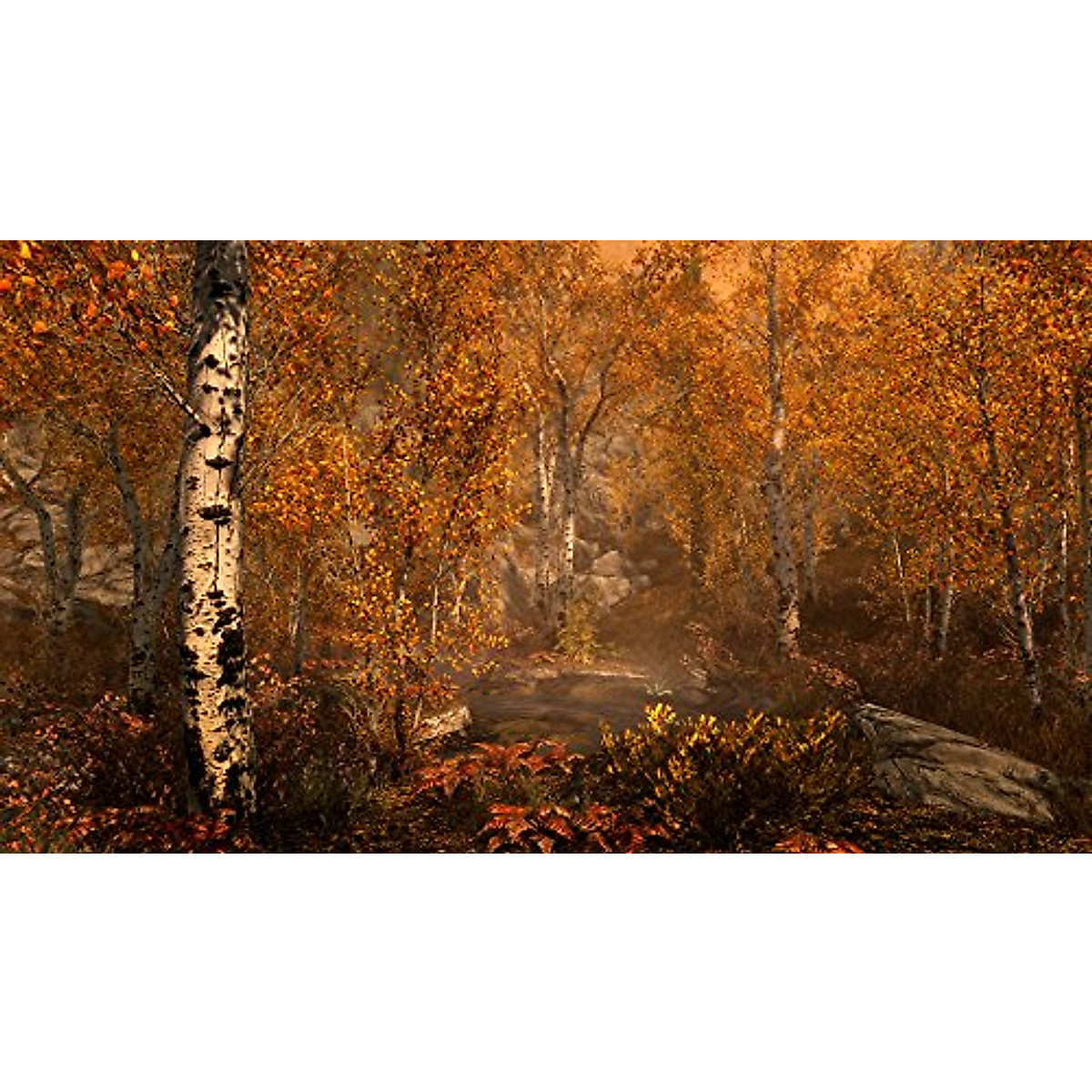 Elder Scrolls V: Skyrim Special Edition (PS4)