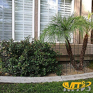 Green Garden Fence Lawn Yard Folding Fence 32 Inch (H) x 10 Feet (L), Pack of 5 Sets,Overall Length 50 Feet(L),Landscape Panel,Patio Fences Flower Bed Section Panel Decorative Fence