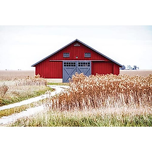 Outdoor BGR P2 LED Dusk-to-Dawn Security Light in Grey 4000k