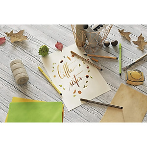 STABILO Premium Fibre-Tip Pen Pen 68 - Pack of 10 - Rust Red