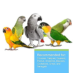 Hagen Tropican Lifetime Formula Parrot Food, 8 lb. - HARI Parrot Food with Peanuts & Sunflower Seeds and Balance Nutrition Levels