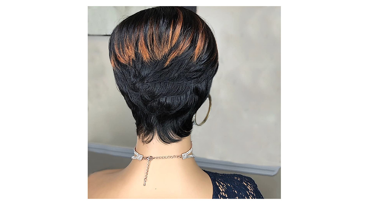 PangDongLai Pixie Cut Wigs for Black Women Pixie HairCut Human Hair ...
