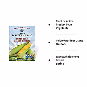 The Old Farmer's Almanac Heirloom Sweet Corn Seeds (Golden Bantam) - Approx 75 Seeds - Non-GMO, Open Pollinated, USA Origin