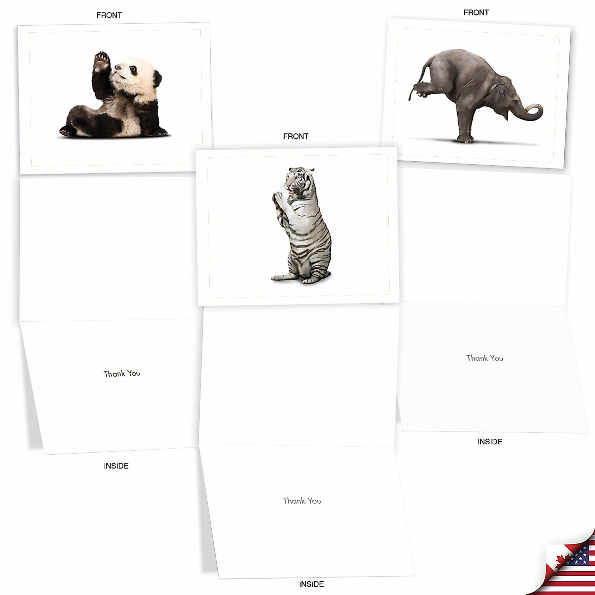 The Best Card Company - 10 Boxed Thank You Notes w/Envelopes, Assorted Stationery to Say Thanks for Men and Women - Zoo Yoga M6547TYG
