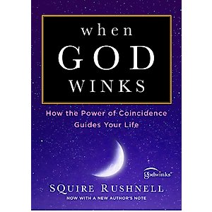 When God Winks: How the Power of Coincidence Guides Your Life (1) (The Godwink Series)