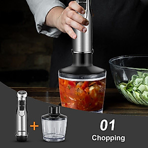 Immersion Hand Blender Multi-Purpose 220V 4 IN 1 Blender Heavy Duty Copper Motor Stainless Steel Finish Includes Whisk Attachment, Chopper and Smoothies Cup (EU Plug)