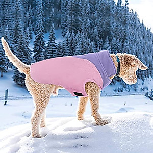 Polar Fleece Dog Sweater, Dog Apparel for Cold Weather, Reversible Soft Warm Coat with Leash Hole, Safety Reflective Strap Adjustable Hook and Loop Dog Fleece Vest for Small Medium Large Dogs(XS-3XL)