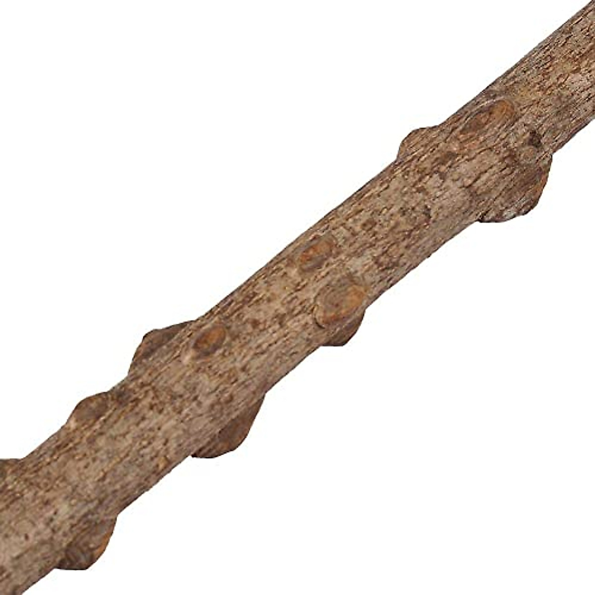 Wooden Parrot Grinding Stand Toy, 1.5~2.5 * 25cm Wooden Parrot Stand Holder Bird Chew Hanging Cage Toy Paw Grinding Bar for Small Medium Birds